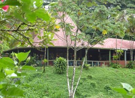 Área da propriedade