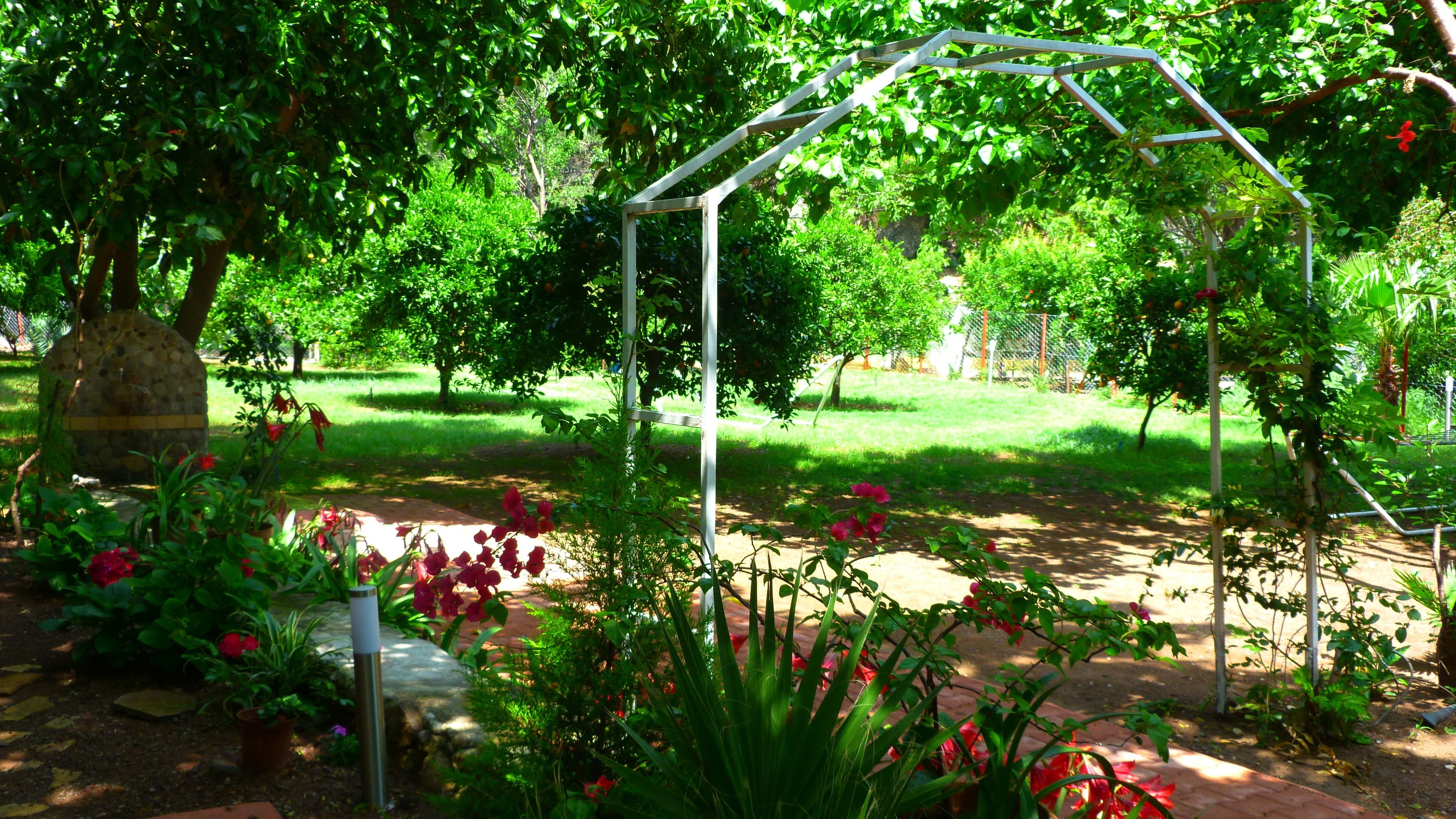 Um jardim com pérgola de metal, vegetação exuberante e plantas floridas.