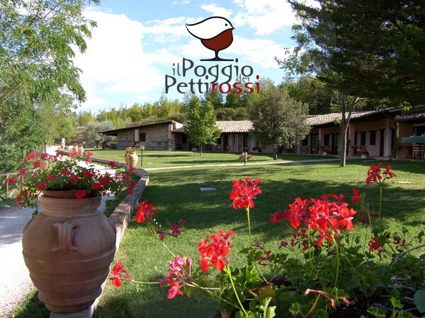Il Poggio Dei Pettirossi - Umbria