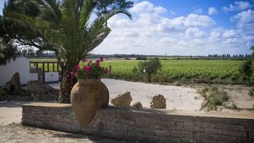 Área da propriedade