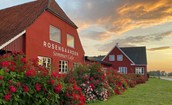Rosengaarden Hostel - Bornholm
