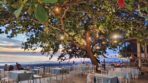Área de refeições ao ar livre com mesas e cadeiras sob uma árvore, com vista para uma praia.