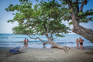 Uma praia com uma árvore grande, uma cadeira de praia e pessoas perto da água.