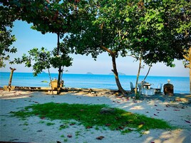 Uma praia com área arenosa, vegetação e vista para o mar.