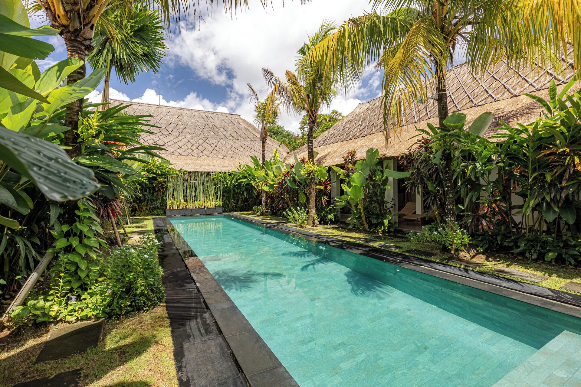 Piscina cercada por plantas tropicais e estruturas com telhados de palha.