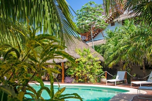 Jardim