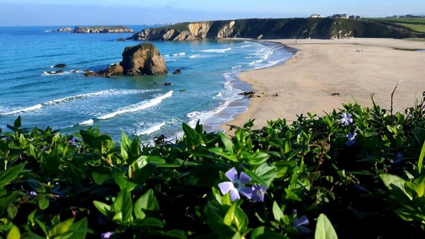 Uma praia costeira com um afloramento rochoso, mar azul cristalino e vegetação em primeiro plano.
