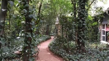 Terrenos do alojamento