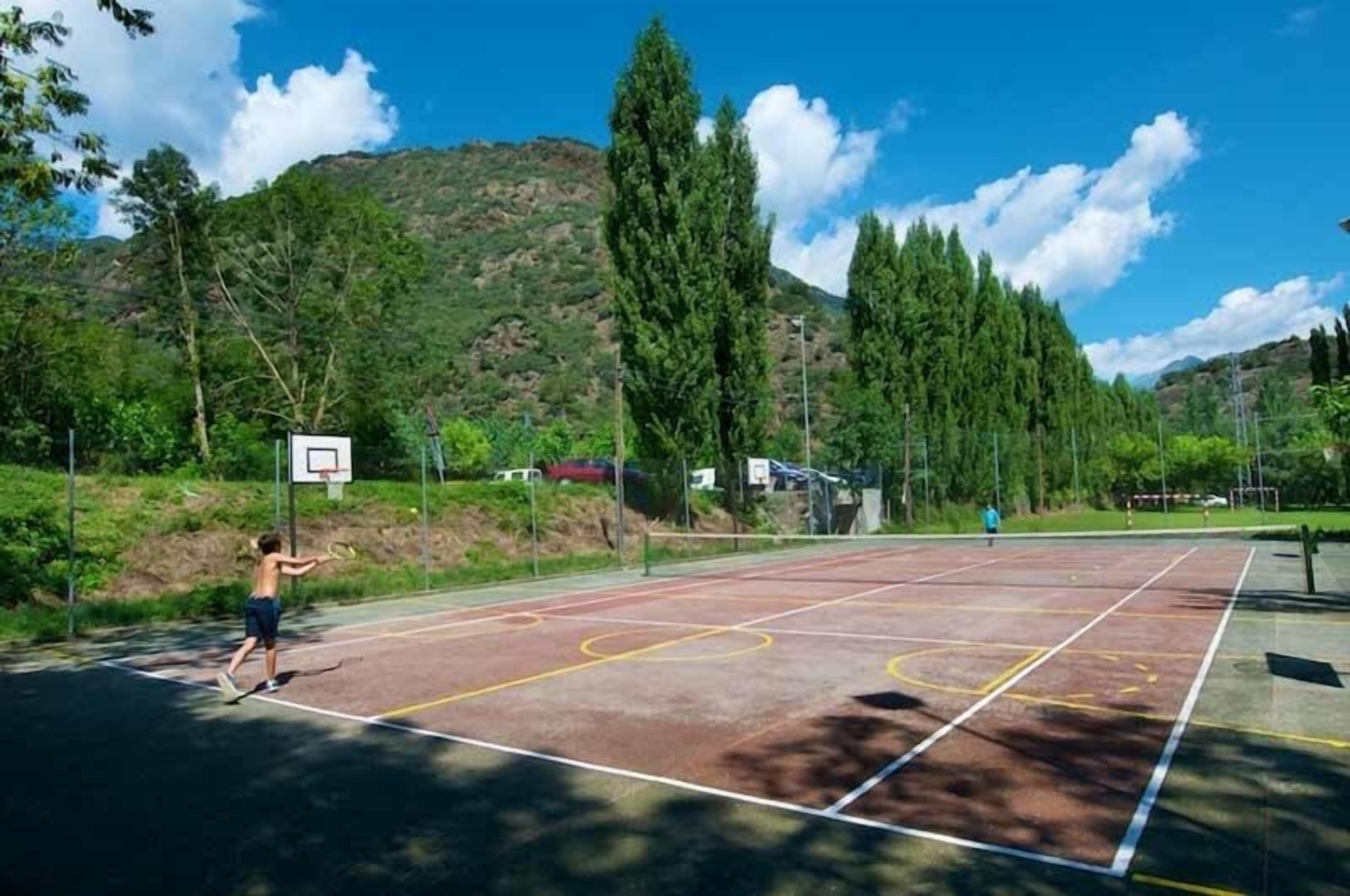 Uma quadra de basquete ao ar livre com uma rede, cercada por árvores e uma montanha ao fundo.