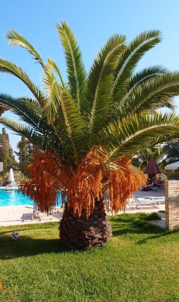 Terrenos do alojamento