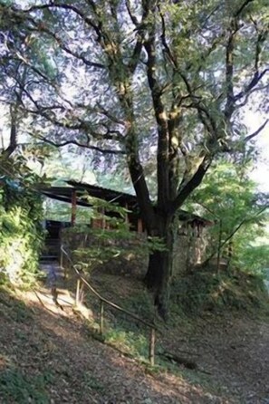 Terrenos do alojamento