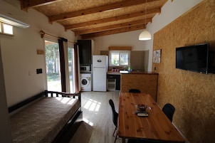 Casa standard, 1 cama Queen e sofá-cama | Sala de estar | TV de plasma