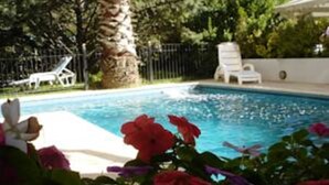 Piscina com palmeira e cadeiras de descanso ao fundo.