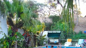 Piscina com pessoas aproveitando a água, rodeada por vegetação e uma área coberta.