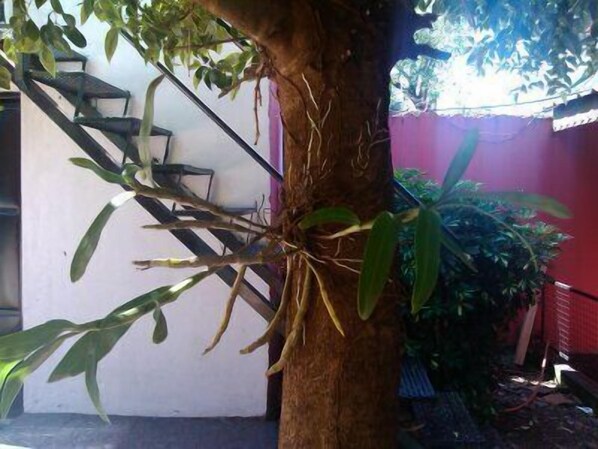 Terrenos do alojamento