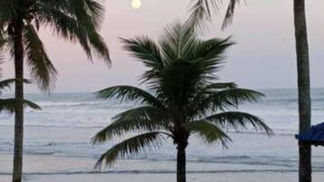 Uma praia com palmeiras e vista para o oceano.