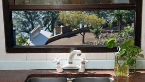 Cozinha com pia dupla, janela com vista para árvores e um prédio, e um vaso de planta no balcão.