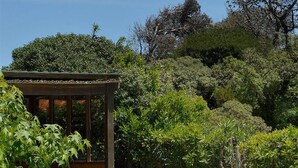 Uma piscina com pergolado de madeira e cadeiras, rodeada por vegetação exuberante e árvores.