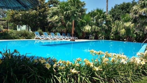 Piscina com espreguiçadeiras e vegetação tropical.