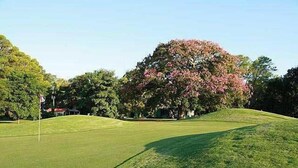 Um campo de golfe com mastro de sinalização, relvado bem cuidado e árvores ao fundo.