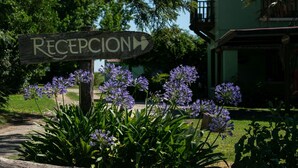 Uma placa de madeira com a palavra 'RECEPTION' escrita, rodeada por flores roxas e vegetação.