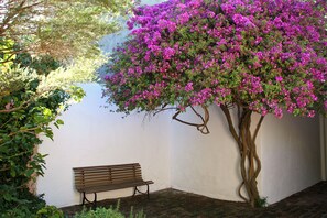 Área da propriedade