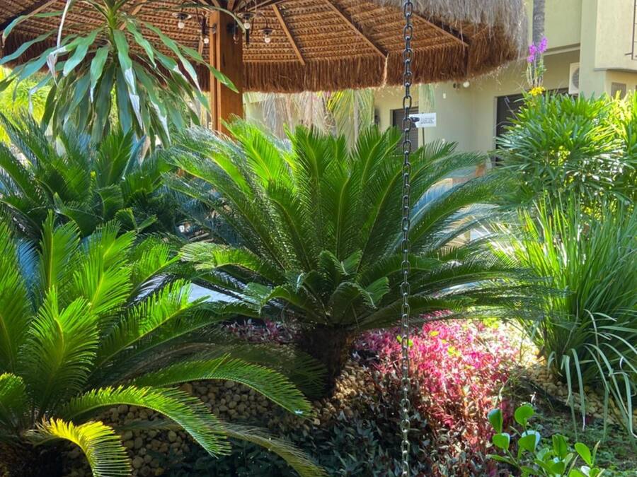 Um jardim tropical com estrutura de palha, folhagem verde exuberante e um muro de pedra.