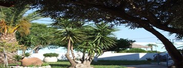 Terrenos do alojamento