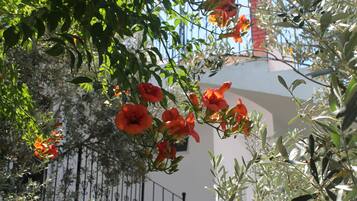 Um jardim com flores laranjas e folhagem verde.