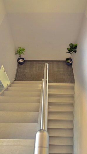 Uma escadaria com corrimão de metal, dois vasos de plantas de cada lado e uma parede texturizada no topo.