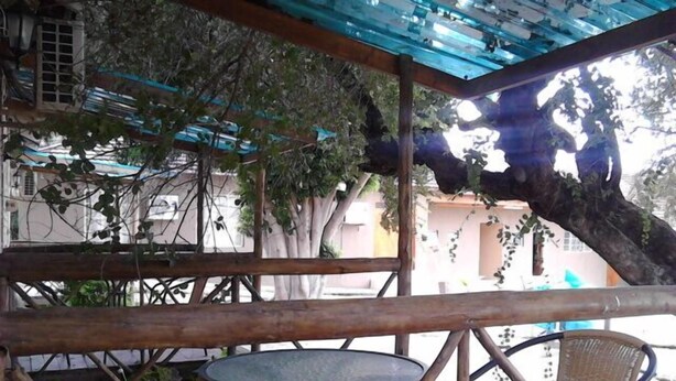 Pátio externo com móveis de madeira e mesa de vidro.