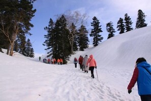 Um grupo de pessoas caminhando por uma encosta coberta de neve, com árvores de ambos os lados.