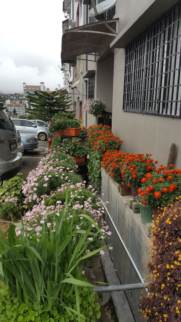 Kpw At Royal Lily Apartment - Tanah Rata