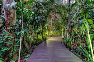 Jardim