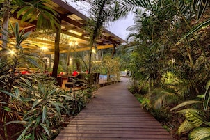 Jardim