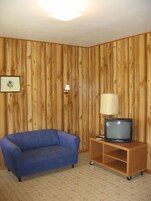 Um quarto com paredes de painel de madeira, um sofá azul, uma televisão sobre um suporte de madeira e uma pequena luminária.