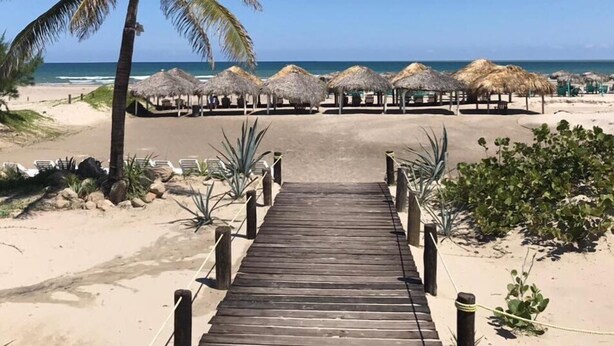 Uma passarela de madeira que leva a uma praia com guarda-sóis de palha e palmeiras.