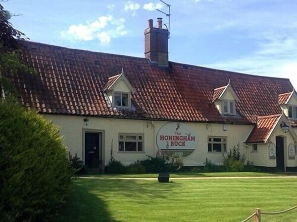The Honingham Buck - Norfolk