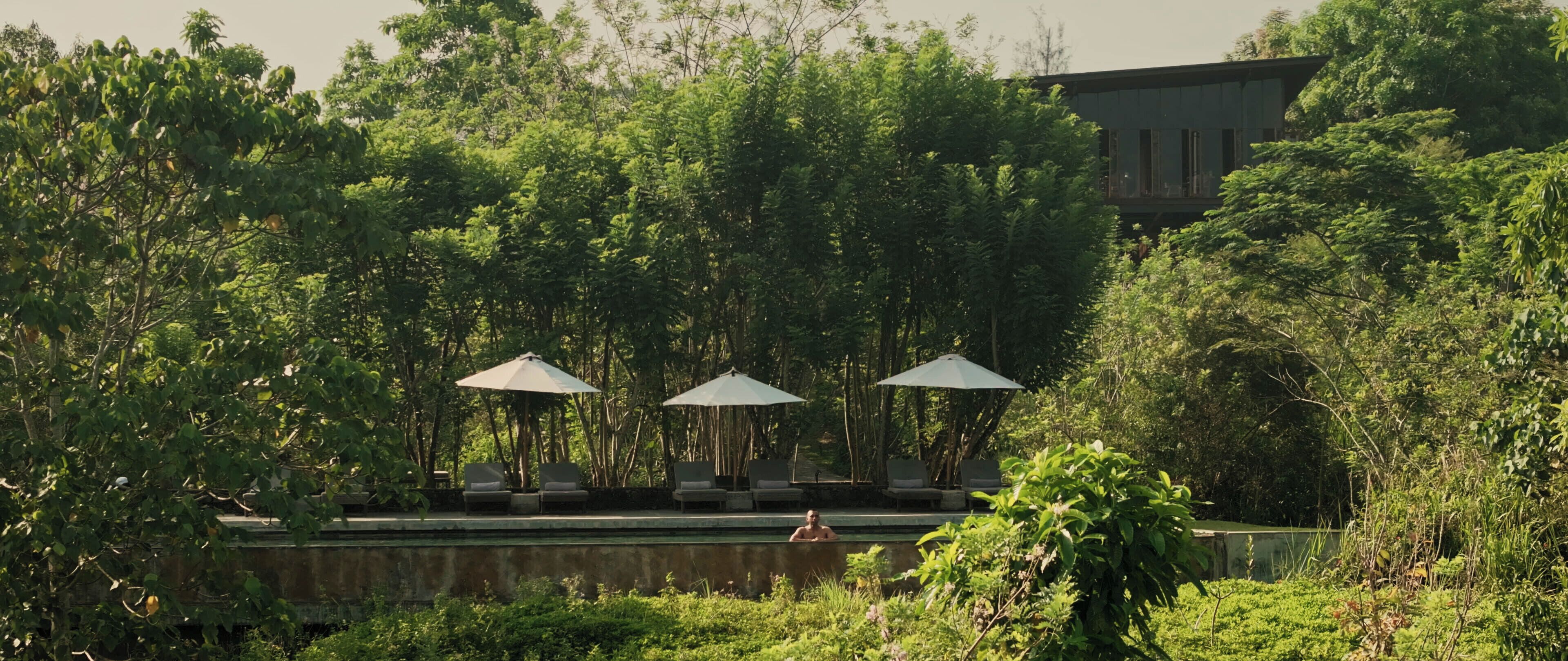 Área de piscina com espreguiçadeiras e guarda-sóis, cercada por vegetação densa.