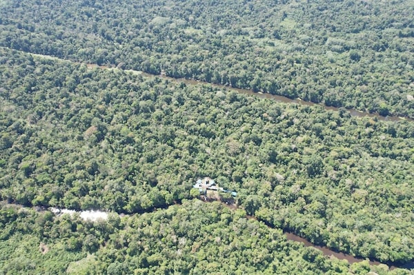 Jacamar Lodge Expeditions - State of Amazonas