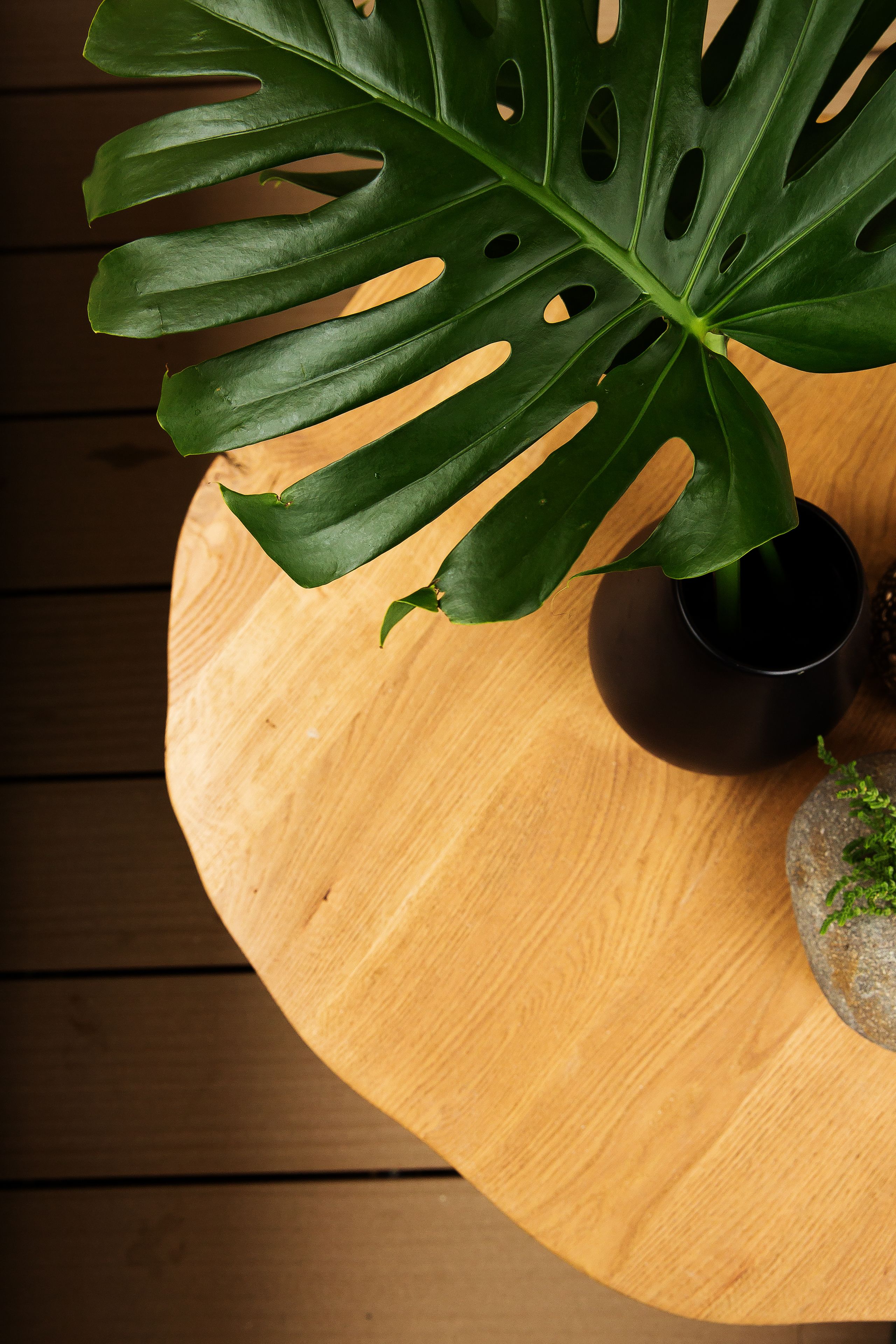 Uma mesa redonda de madeira com um vaso e planta de folhas verdes grandes.
