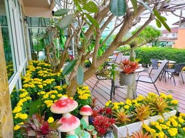 Terraço/pátio interior
