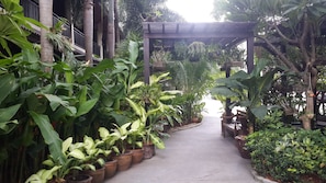 Jardim