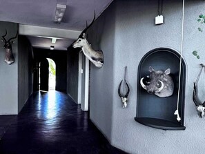 Entrada