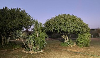 Área da propriedade