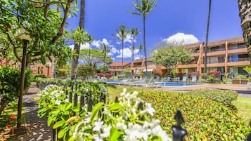 Condo, 1 quarto | Área da propriedade