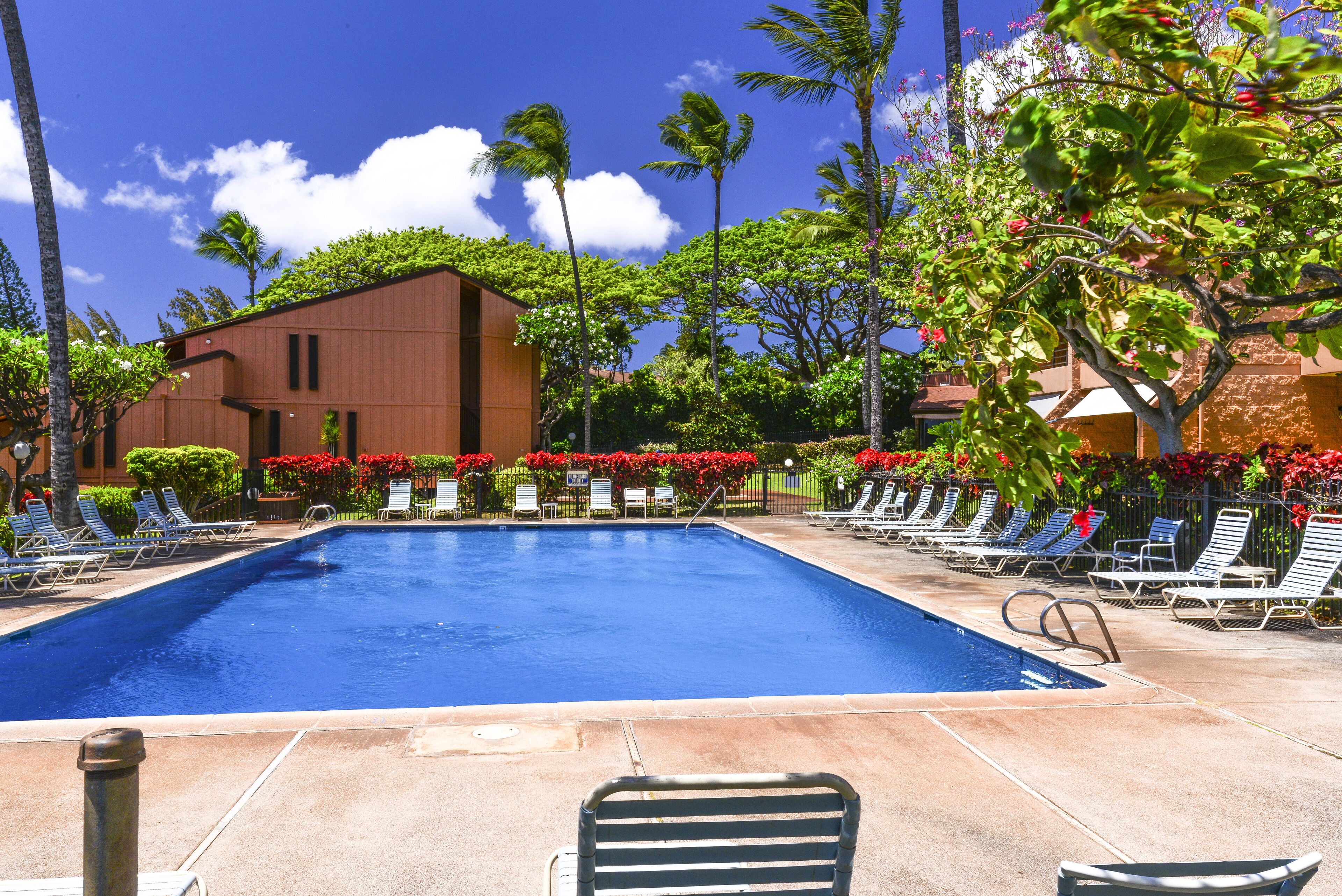 Condo, 1 quarto | Piscina | Piscina externa, espreguiçadeiras