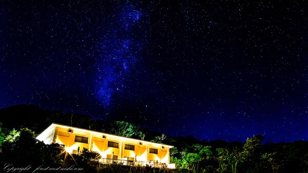 Forest West Nishi - Nago