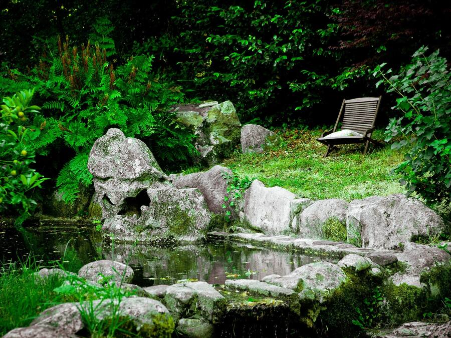 Um jardim tranquilo com lago, pedras e um banco.