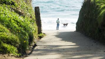 Um caminho que leva ao mar, com uma pessoa e um cão.